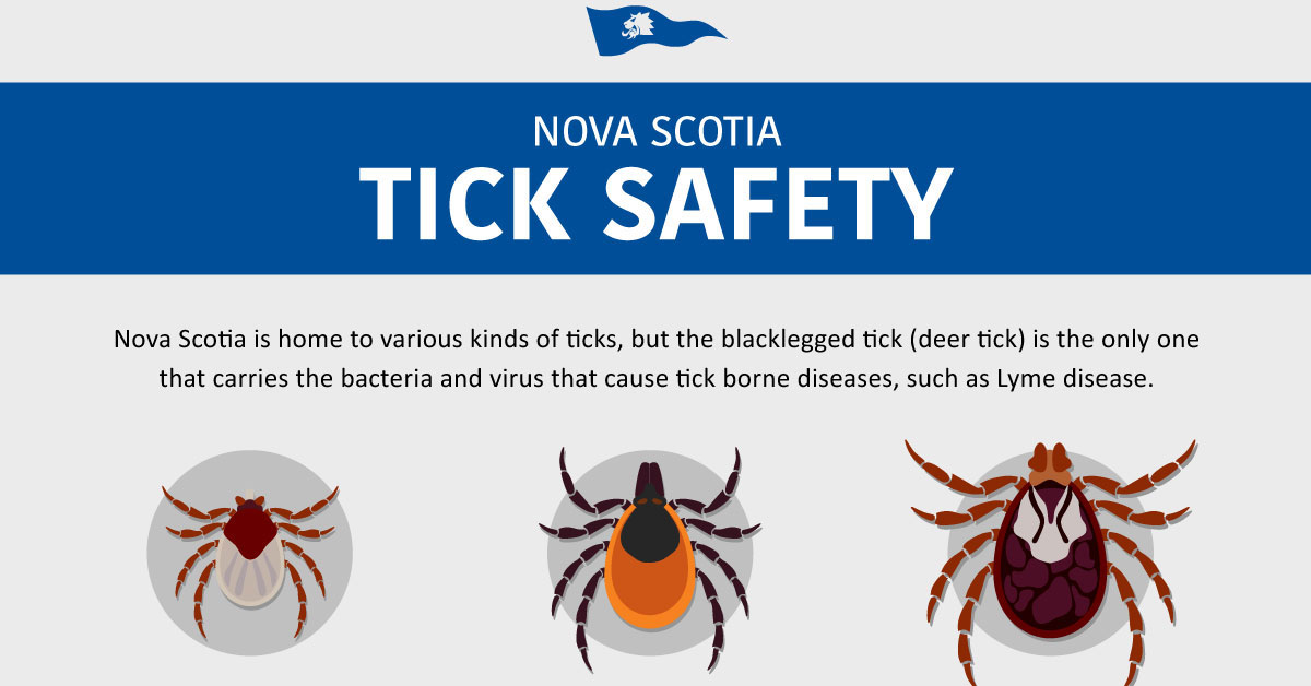 Safety Topics Ticks at Sandra Karcher blog